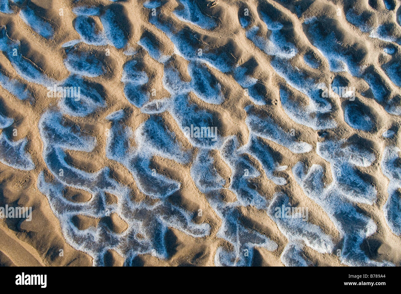 Texture of ice in sand ripples on the beach Stock Photo - Alamy
