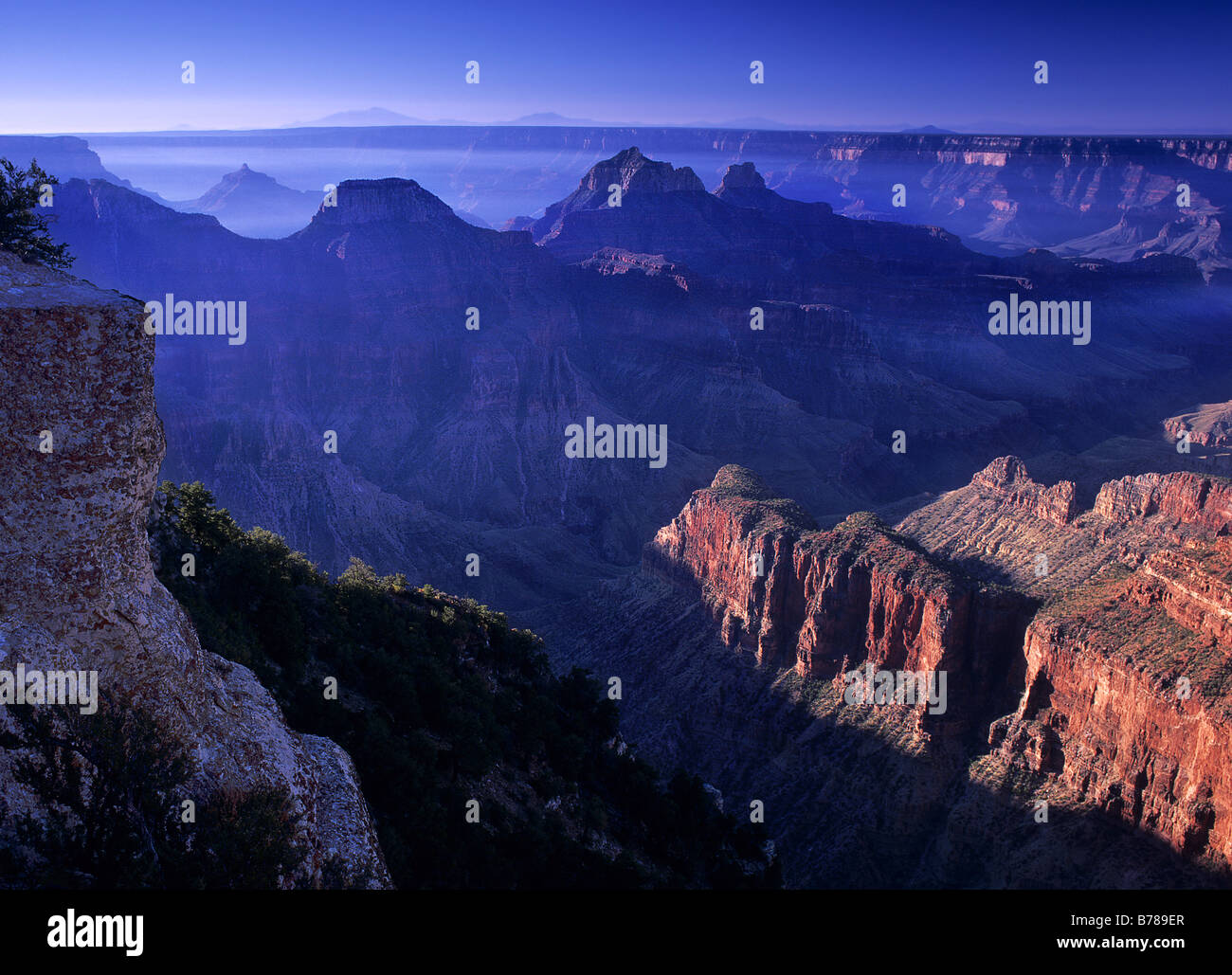 USA, Arizona, Grand Canyon NP. Rising sun lights Transept Canyon walls ...