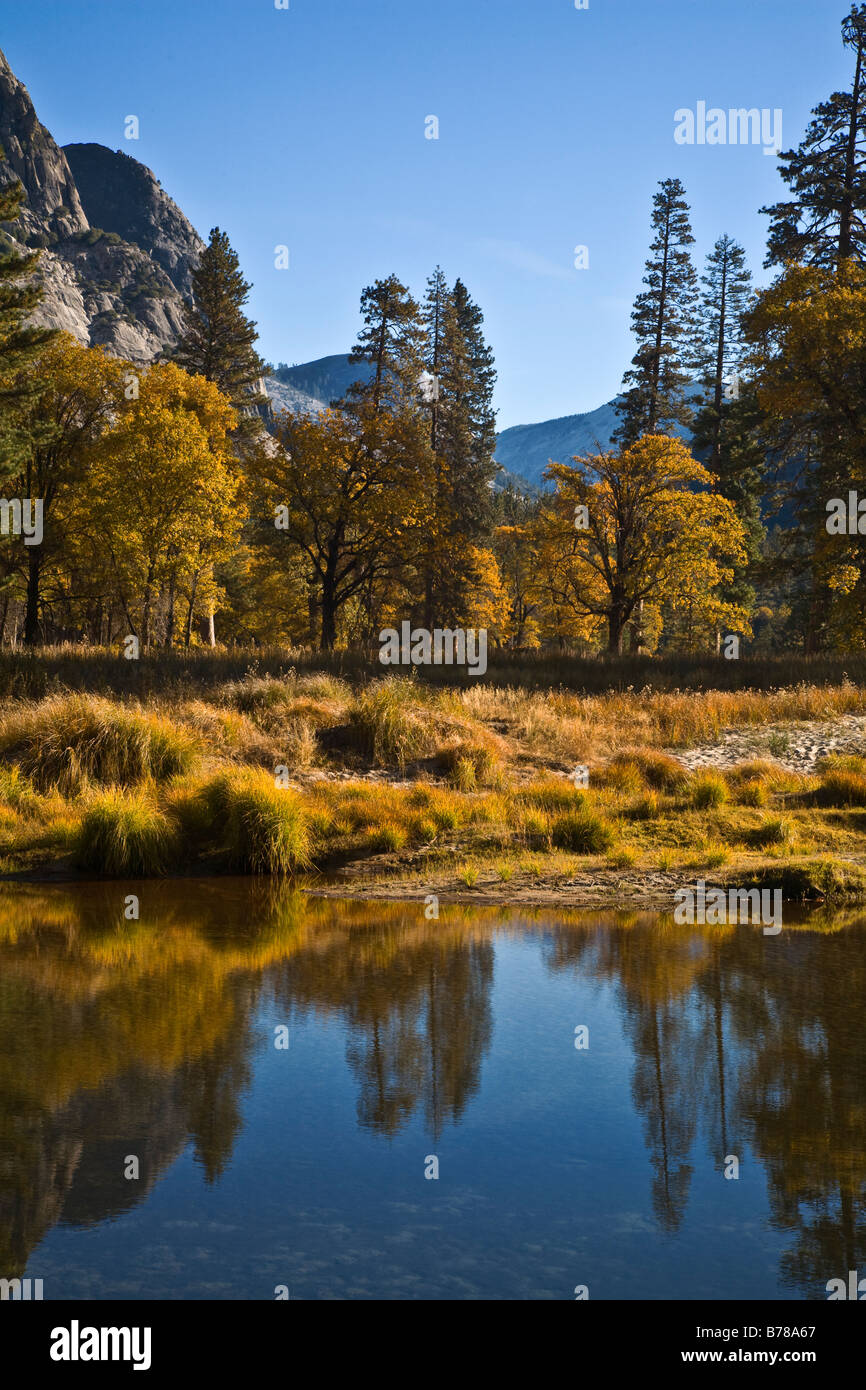 The MERCED RIVER and the YOSEMITE VALLEY during autumn YOSEMITE ...