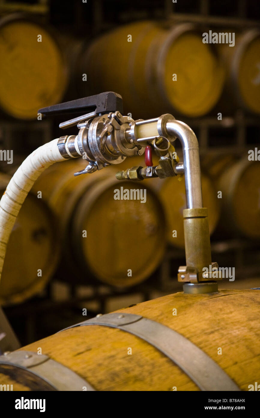 Grape juice is pumped from one OAK BARREL to another to remove sediment ...