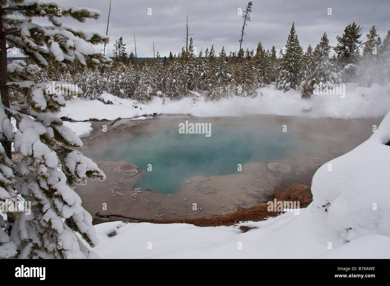 Emerald Spring, Norris Geyser Basin, winter, Yellowstone National Park ...