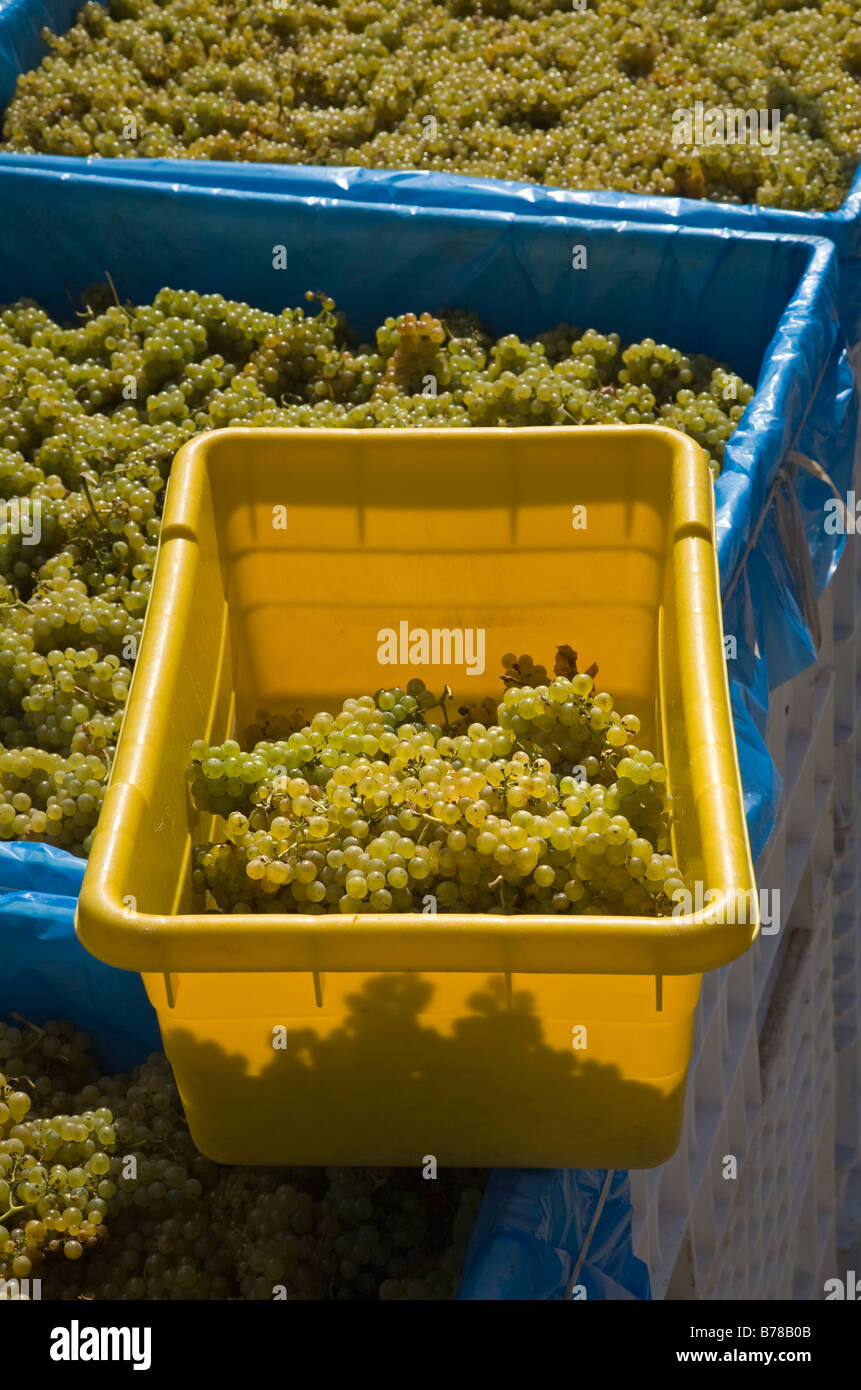 Harvest bins hi-res stock photography and images - Alamy