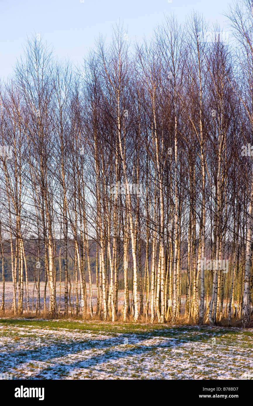 Remote countryside hi-res stock photography and images - Alamy