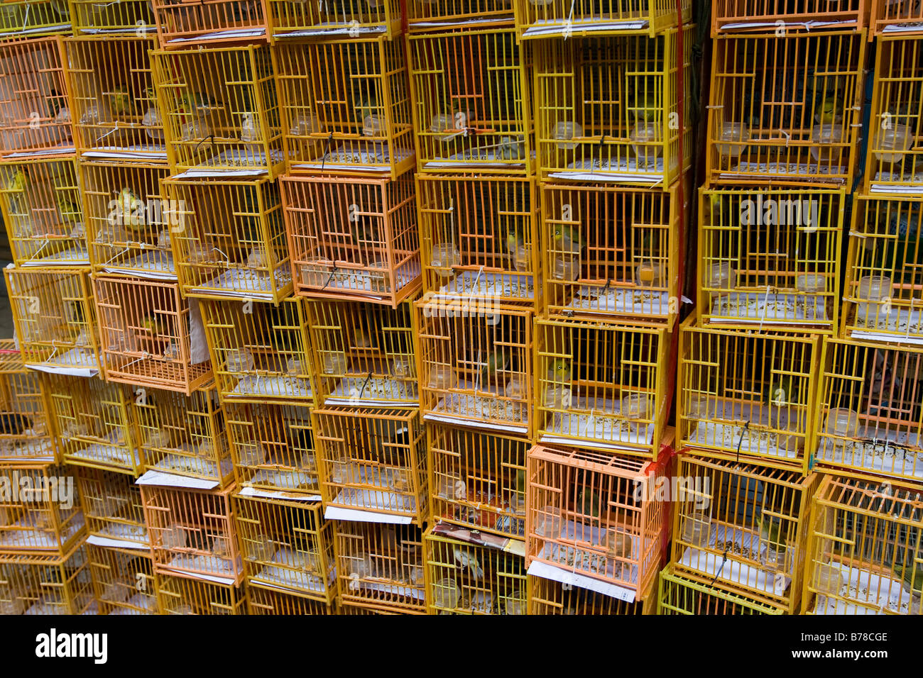 Pet shop in hong kong hi-res stock photography and images - Alamy