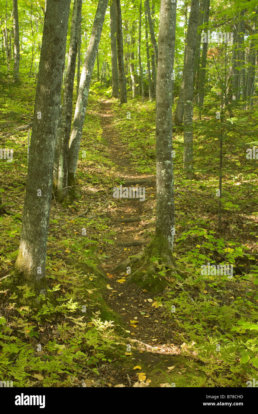 Superior hiking trail hi-res stock photography and images - Alamy