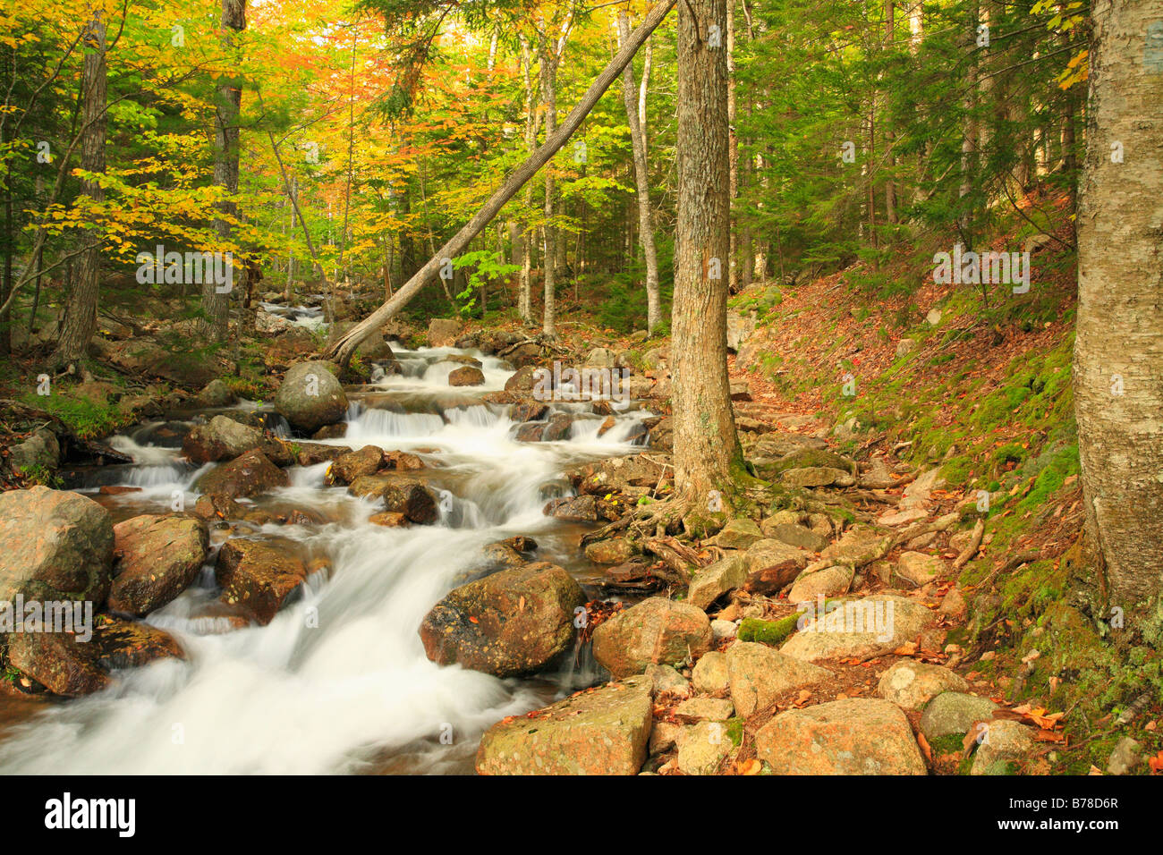 Hiking Trail and Stream Beside Carriage Road near Jordan Pond, Acadia ...