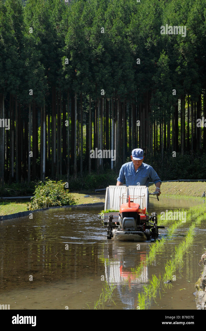 Japan rice planting machine hi-res stock photography and images - Alamy