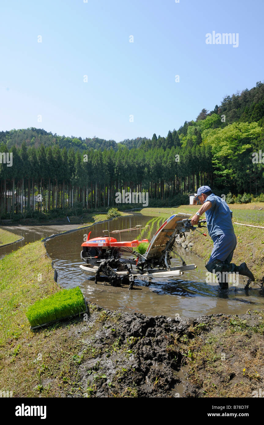 Japan rice planting machine hi-res stock photography and images - Alamy