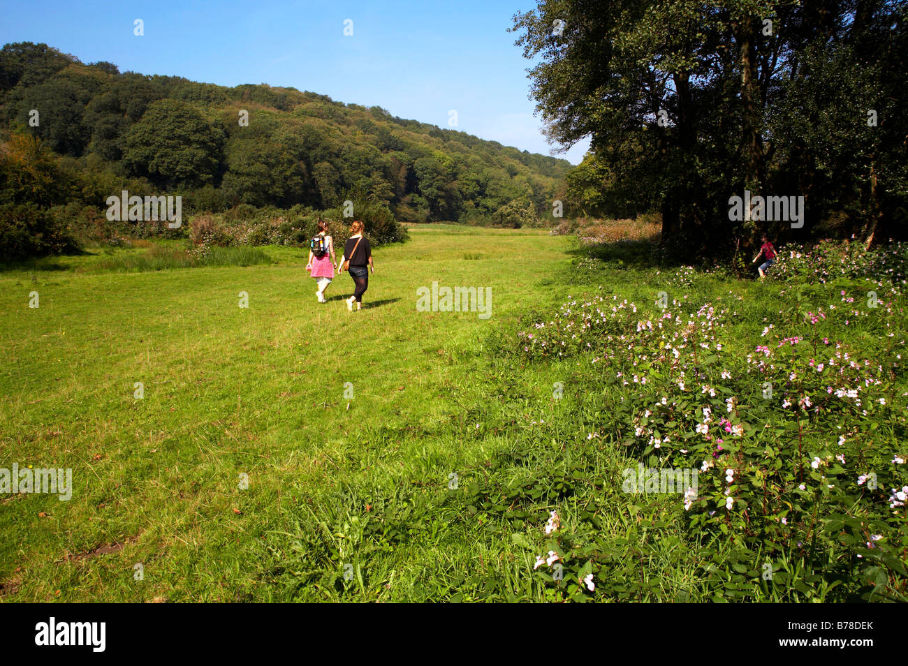 Walkers in Bryngarw country park Bridgend South Wales Stock Photo - Alamy