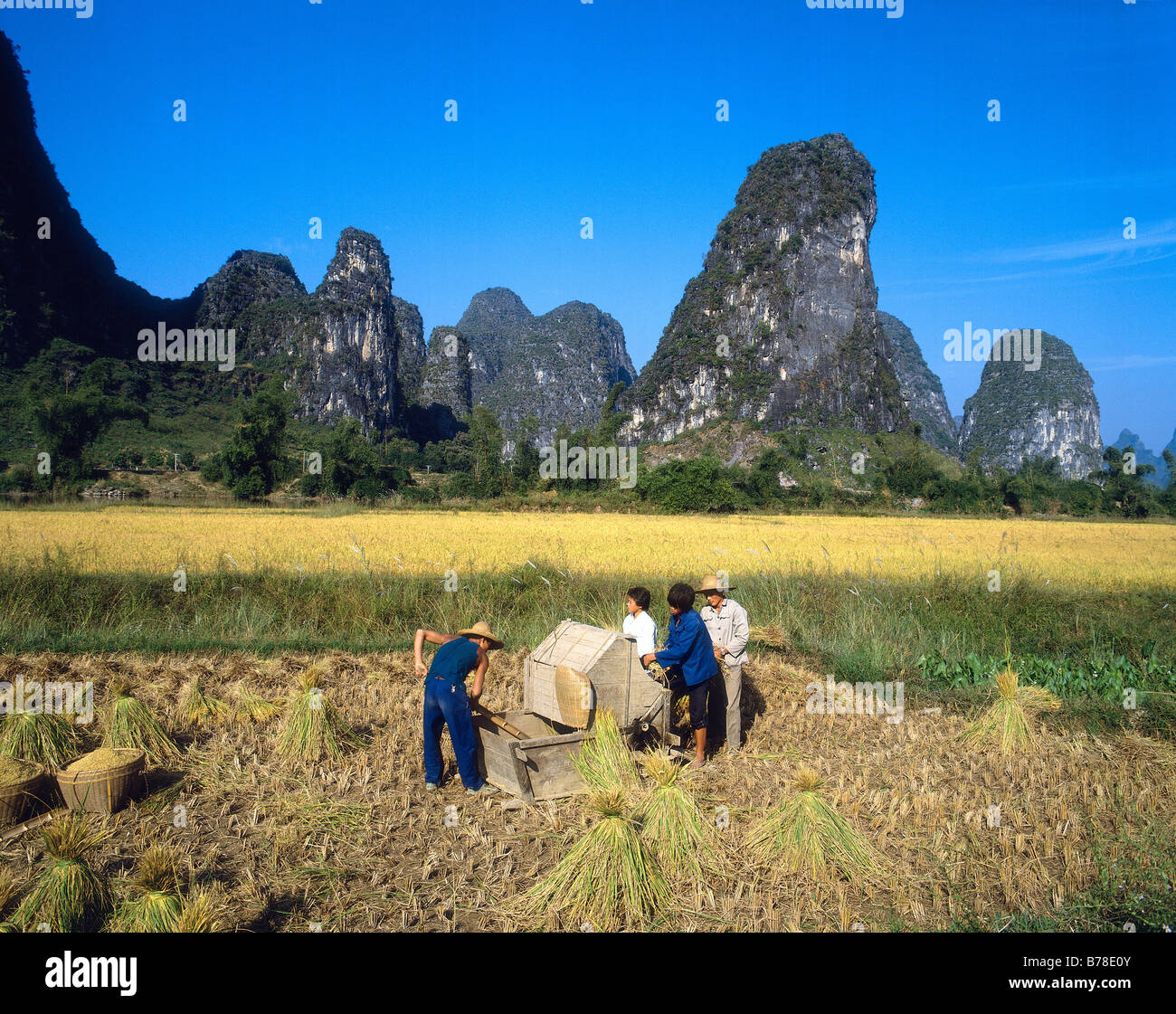 China rice workers hi-res stock photography and images - Alamy