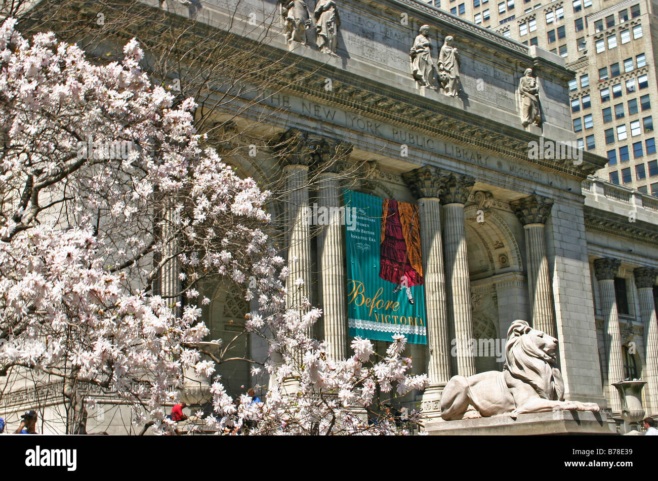 New York Public Library Fifth Avenue New York City Stock Photo - Alamy