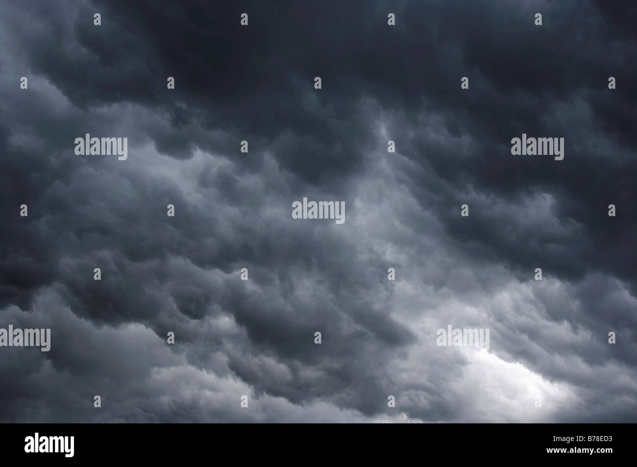 Lurid High Resolution Stock Photography and Images - Alamy