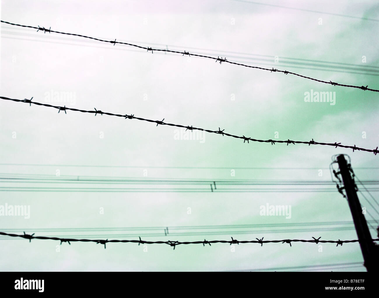Barbed Wire Fence, close-up Stock Photo - Alamy
