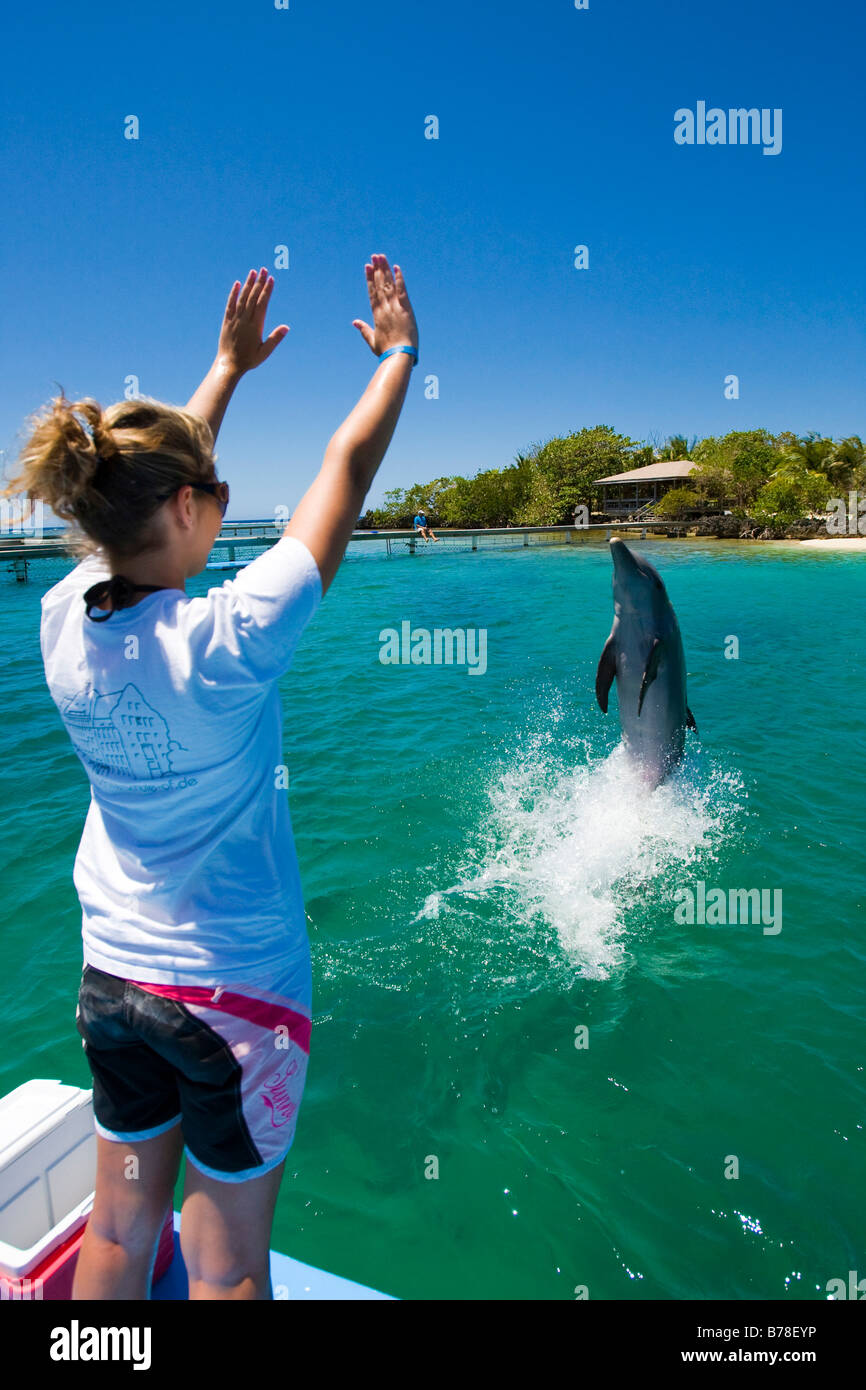 Dolphin trainer training a dolphin during a biology lesson in Anthony's ...