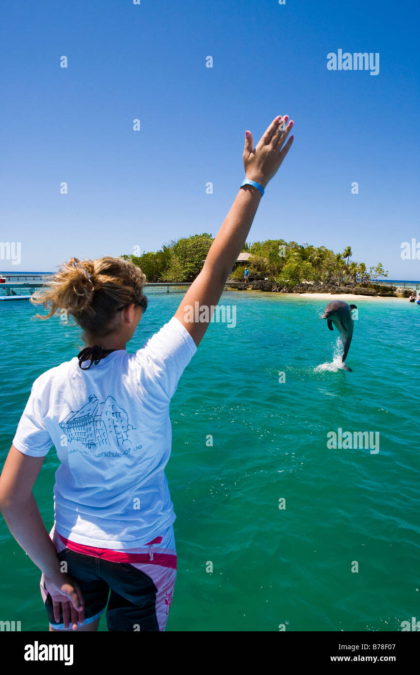 Dolphin trainer training a dolphin during a biology lesson in Anthony's ...