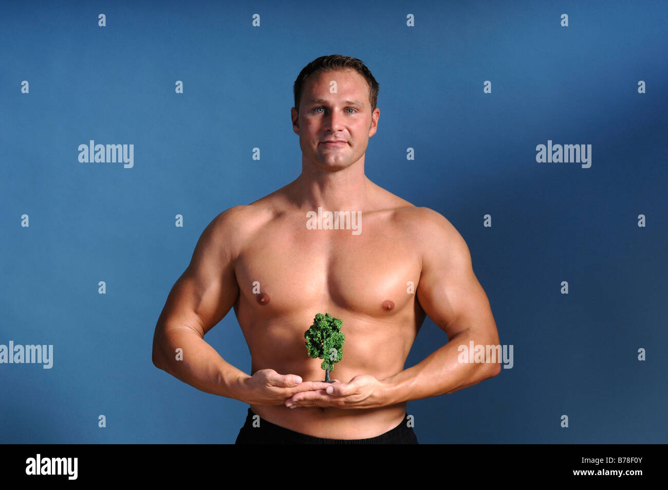 Man holding small tree in hands, portrait Stock Photo - Alamy