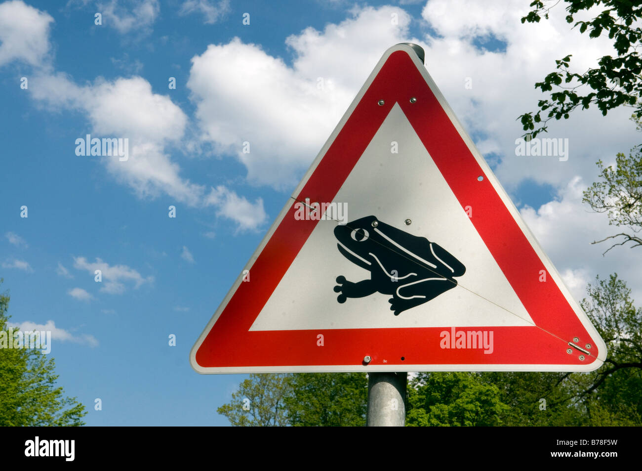 Caution toad migration hi-res stock photography and images - Alamy