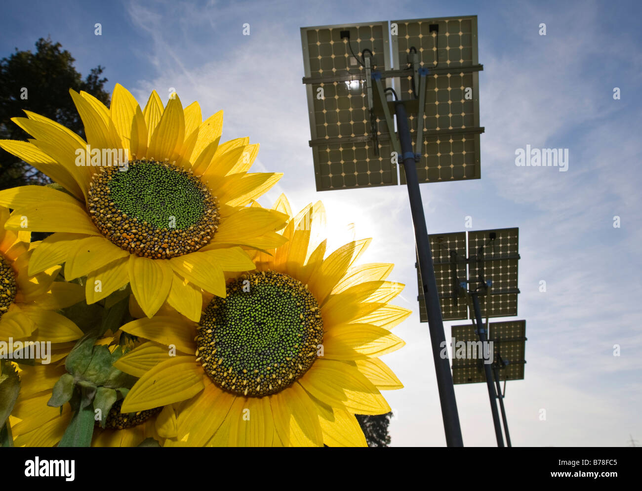Clean power, eco-power from renewable energy, sunflowers, in background ...
