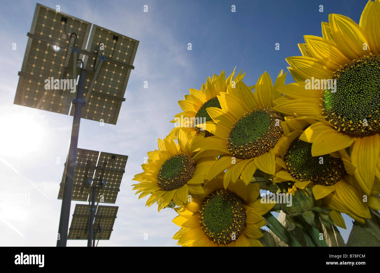Clean power, eco-power from renewable energy, sunflowers, in background ...