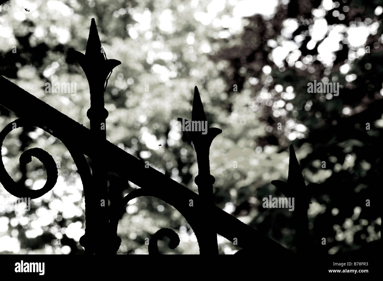 Wrought iron fences up close hi-res stock photography and images - Alamy