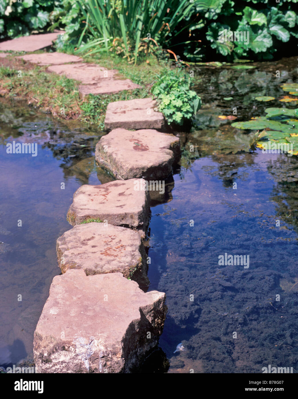 Stepping stones across garden pond hi-res stock photography and images ...
