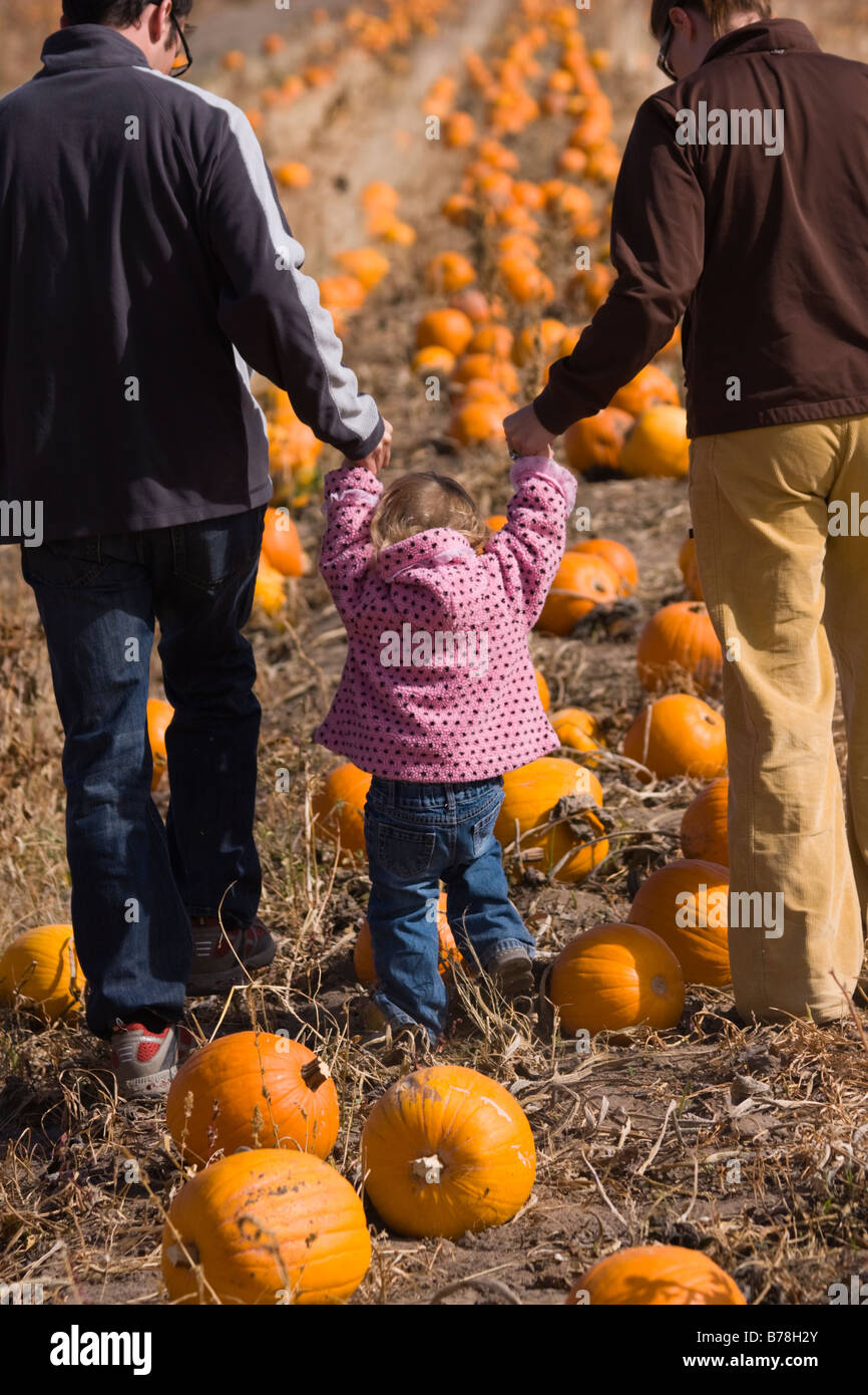 Walking in a pumpkin patch hi-res stock photography and images - Alamy