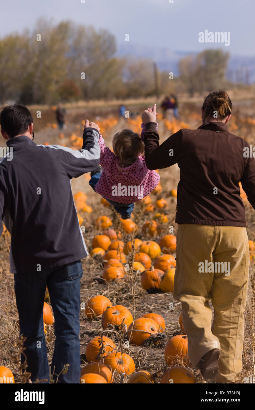 Parents swinging their daughter in a pumpkin patch in Fallon Nevada ...