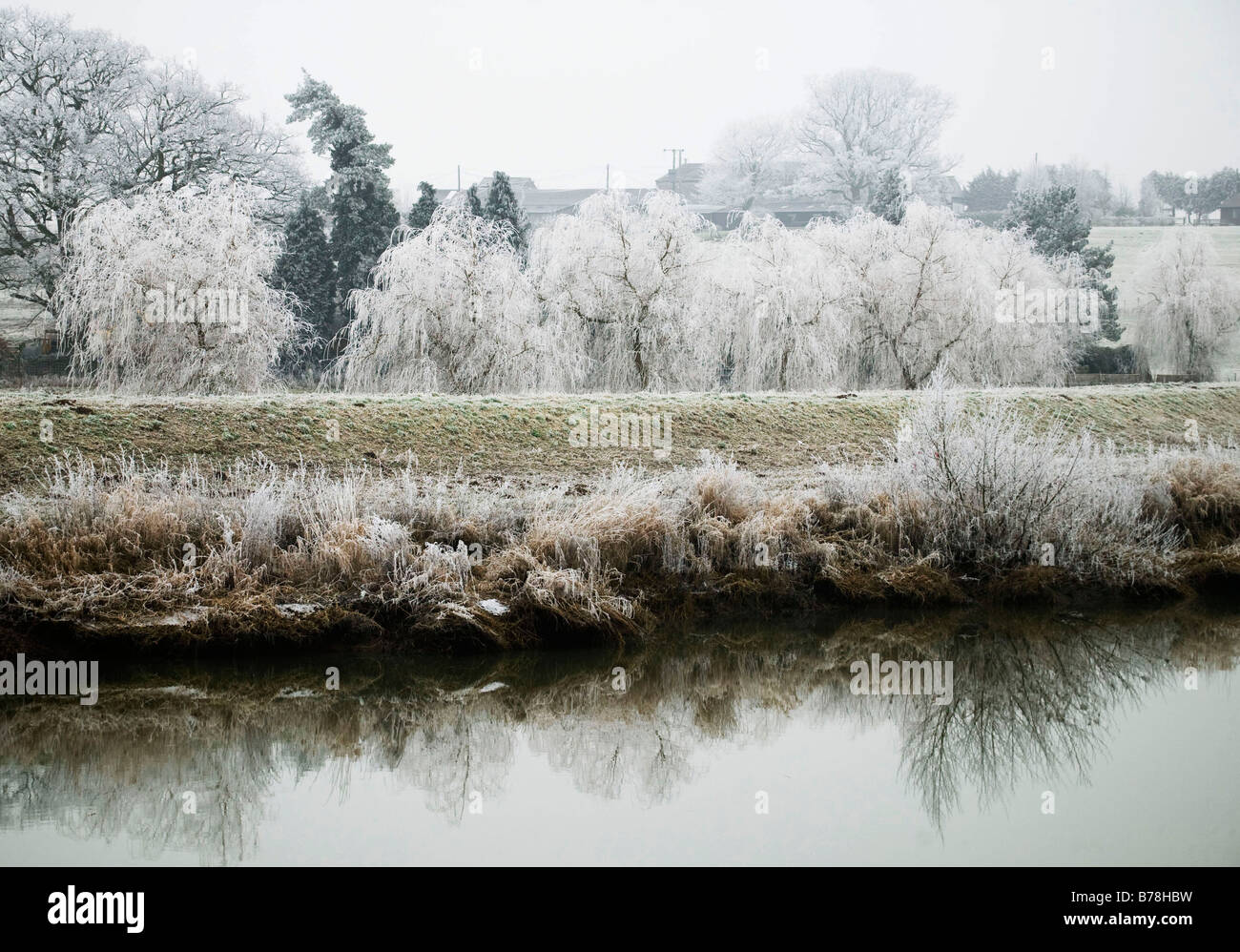 Frost national bank hi-res stock photography and images - Alamy