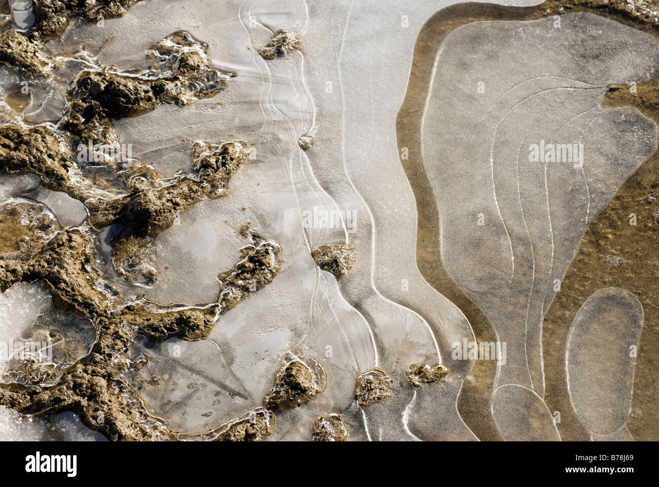 Puddle of mud from above hi-res stock photography and images - Alamy