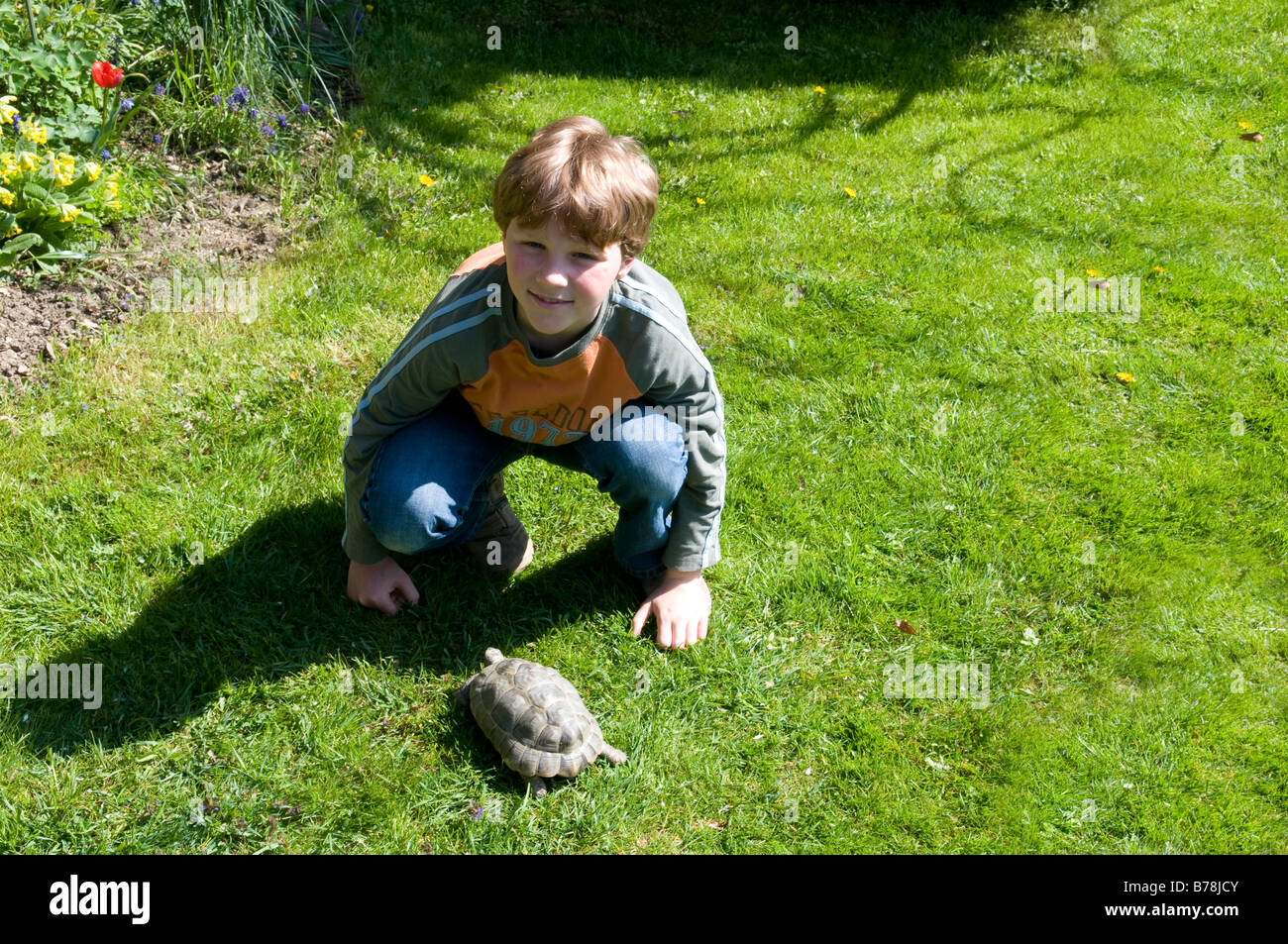 Boy and turtle in garden Stock Photo - Alamy