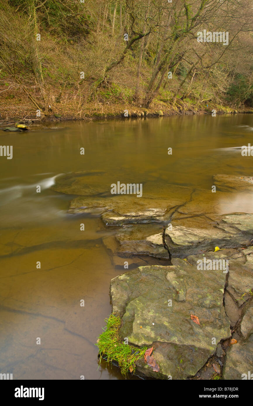 England, Tyne & Wear, Derwent Walk Country Park. The River Derwent ...