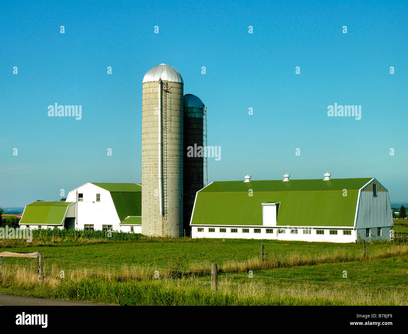 White and green barns in Benton Center,New York Stock Photo - Alamy