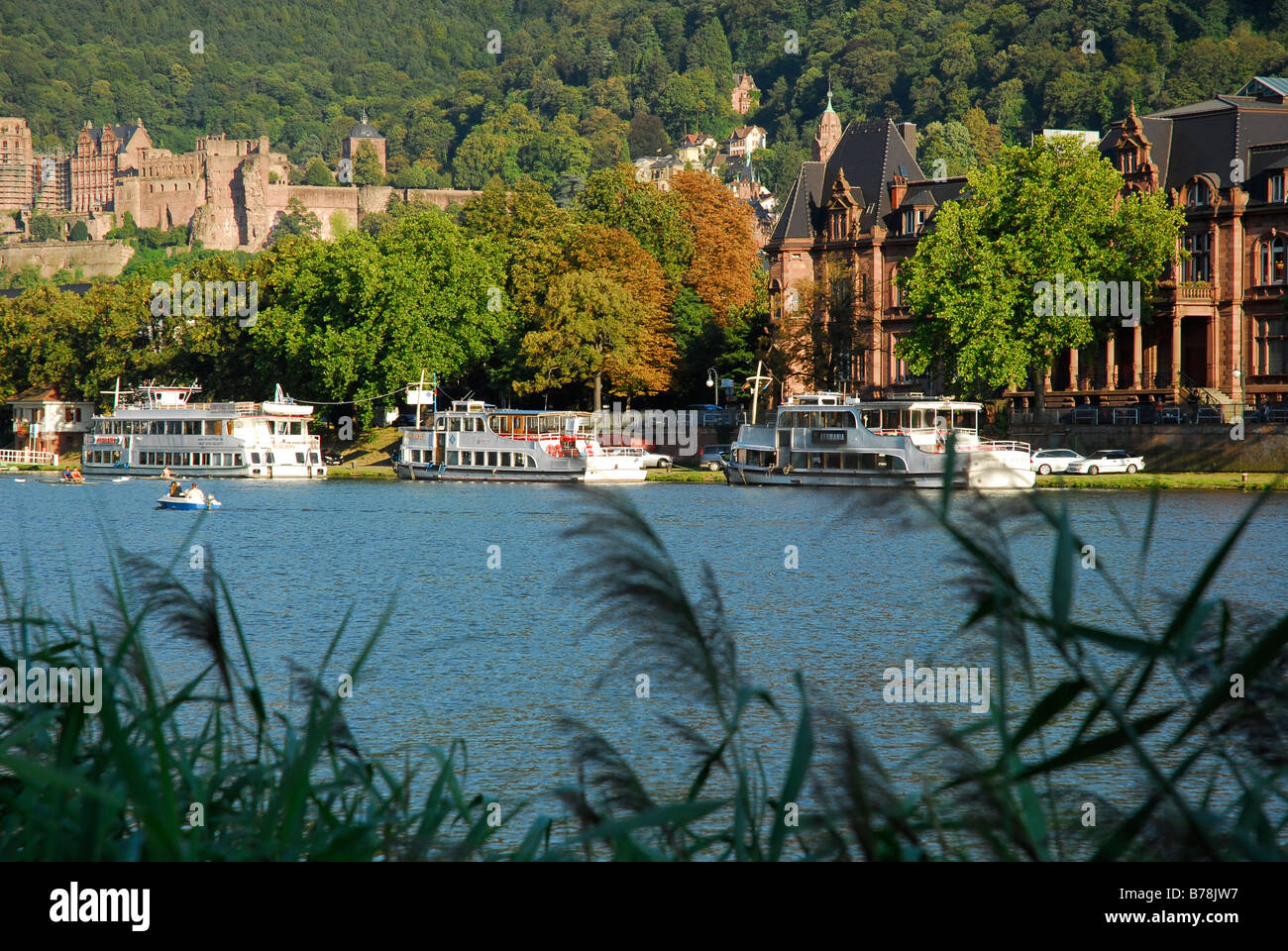 Riverside with view of cruise vessels, castle and old city, Neckar ...