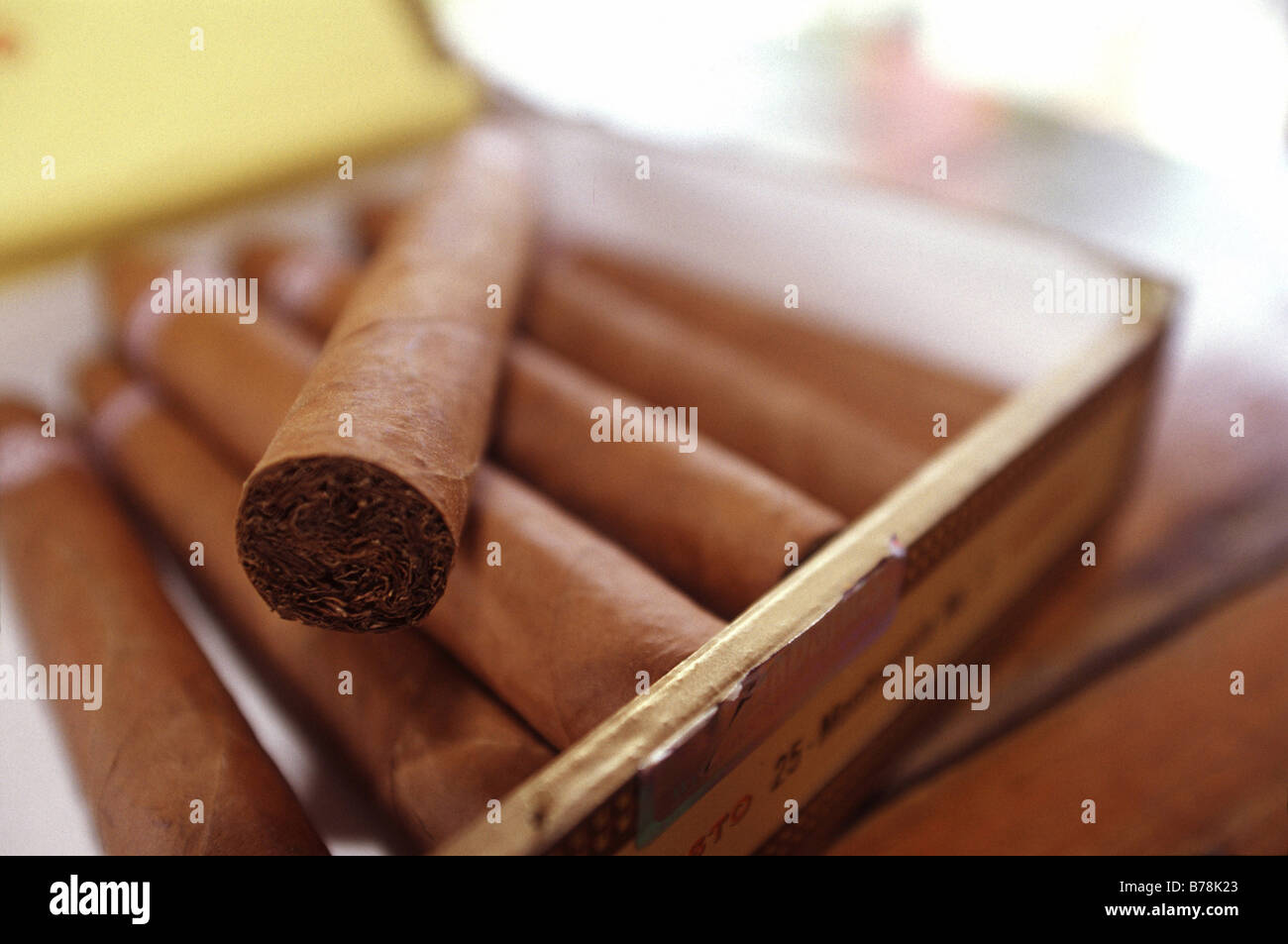 Cigar cigars hi-res stock photography and images - Alamy