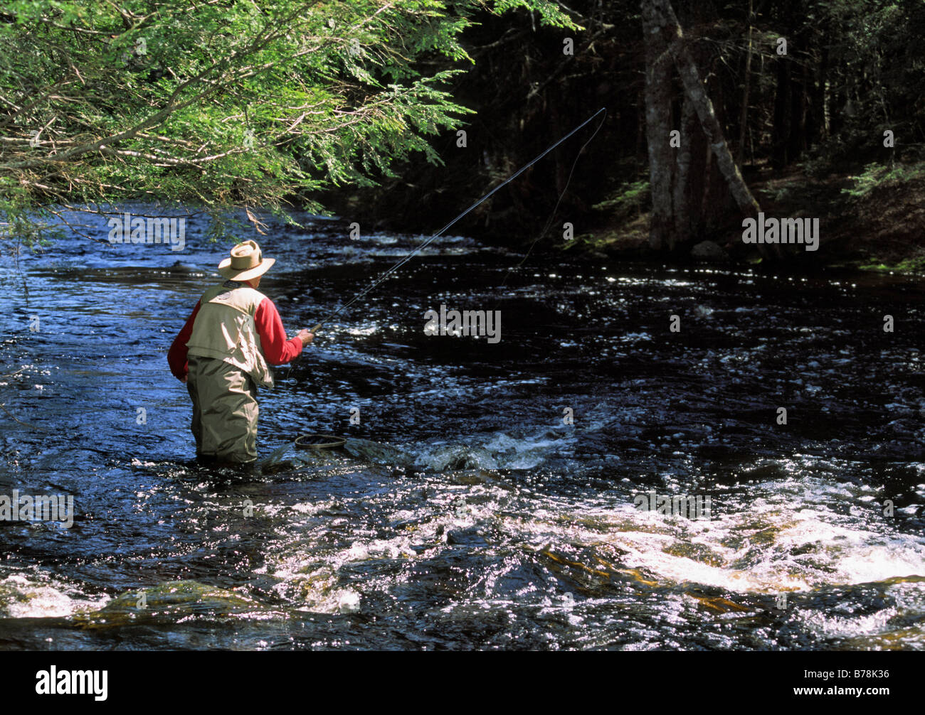 Trout angler. Fisherman Stock Photo - Alamy