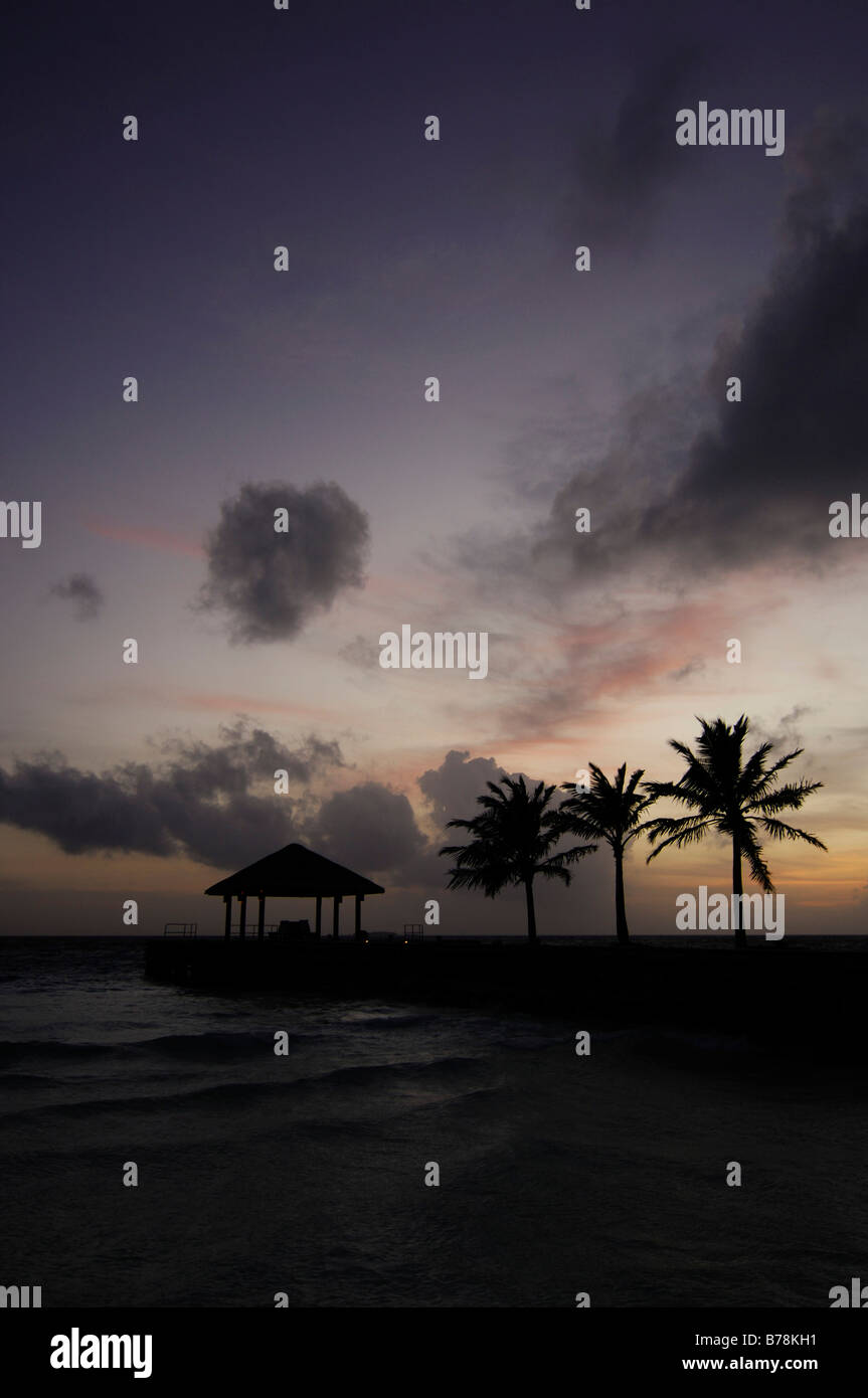 Jetty with palm trees at dusk, backlit, Laguna Resort, The Maldives ...