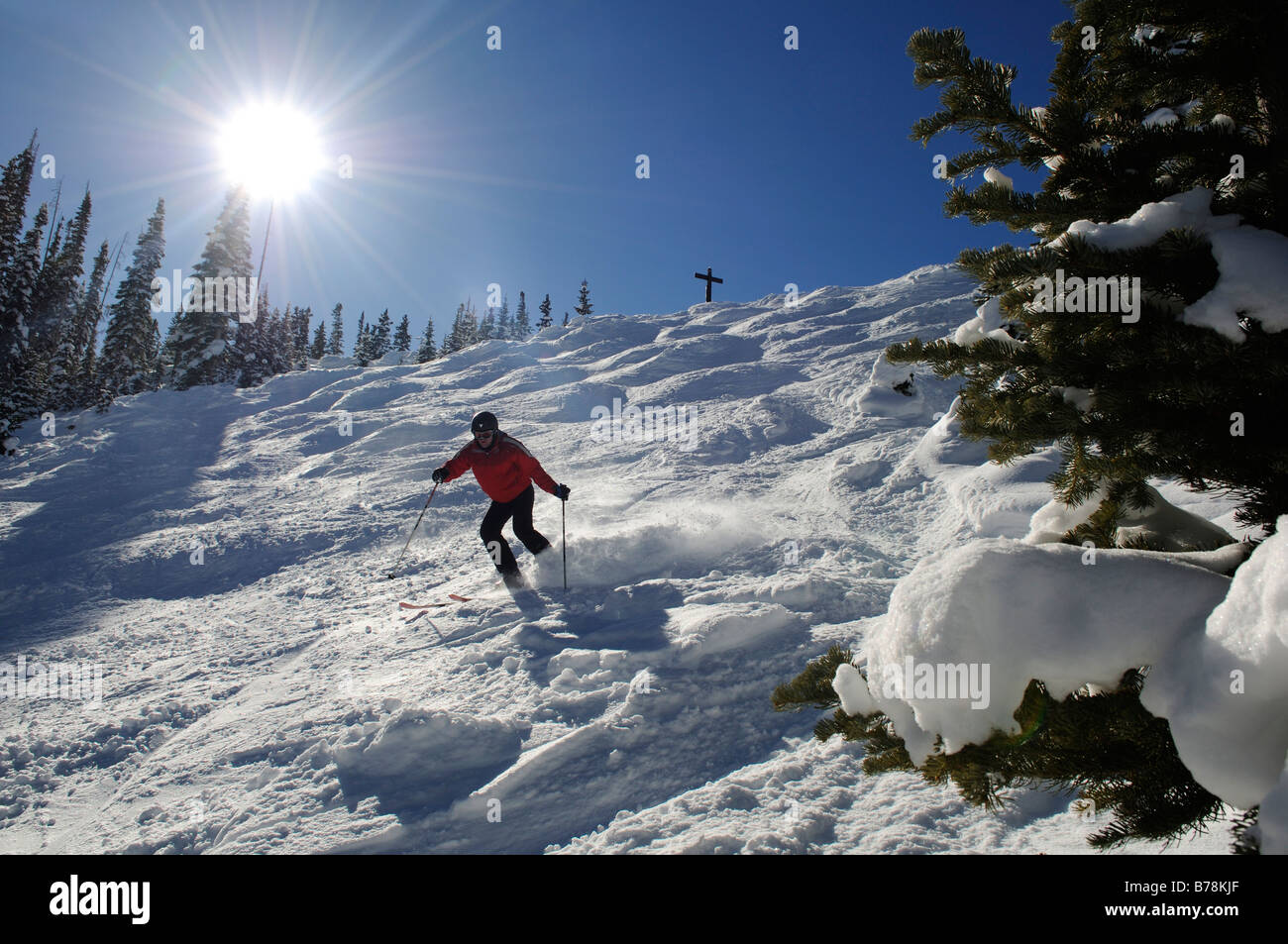 Skier on the Silvertip ski-run in Telluride, Colorado, USA, North ...