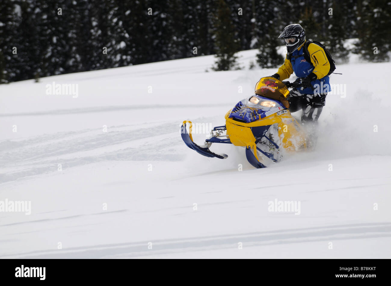 Snowmobile-action at Dunton Hot Springs, Colorado, USA Stock Photo - Alamy