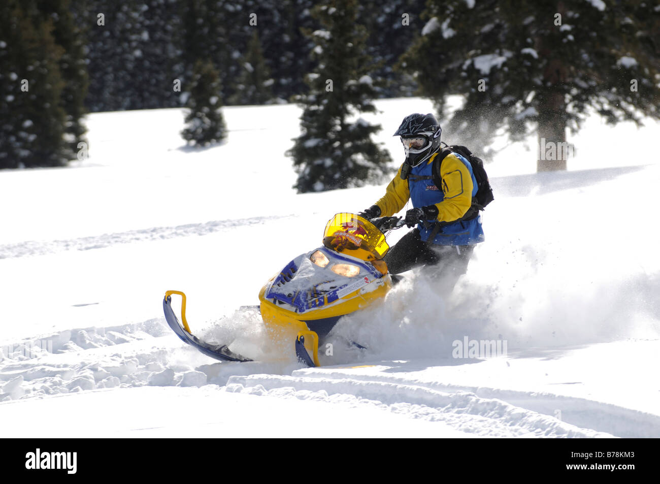 Snowmobile-action at Dunton Hot Springs, Colorado, USA Stock Photo - Alamy