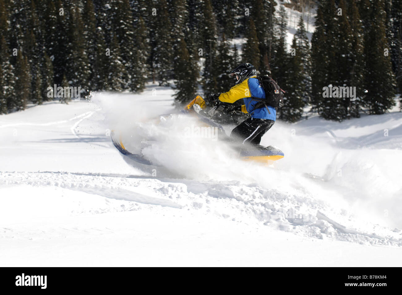Snowmobile-action at Dunton Hot Springs, Colorado, USA Stock Photo - Alamy