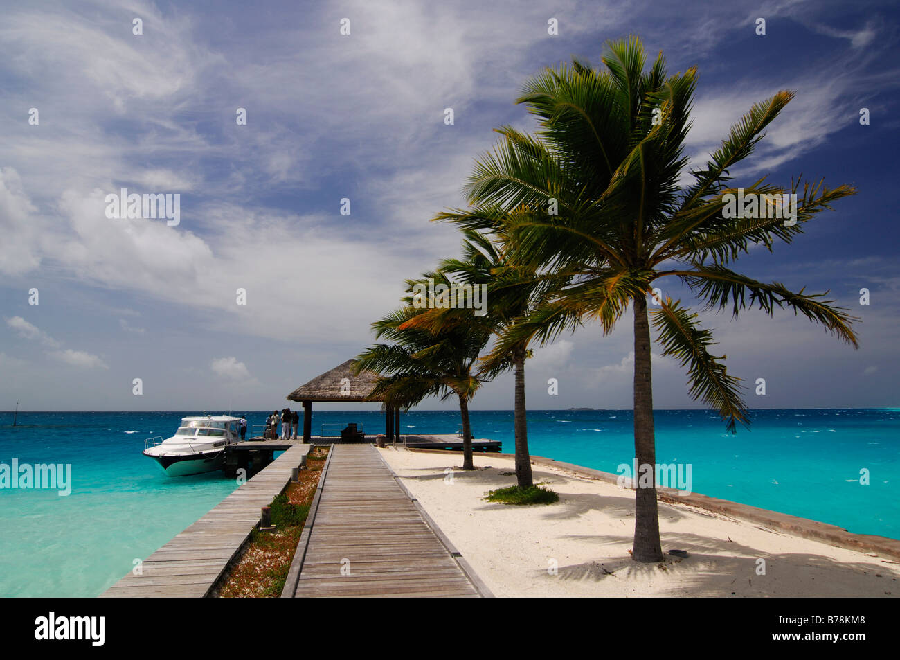 Palm tree lined jetty, Laguna Resort, The Maldives, Indian Ocean Stock ...