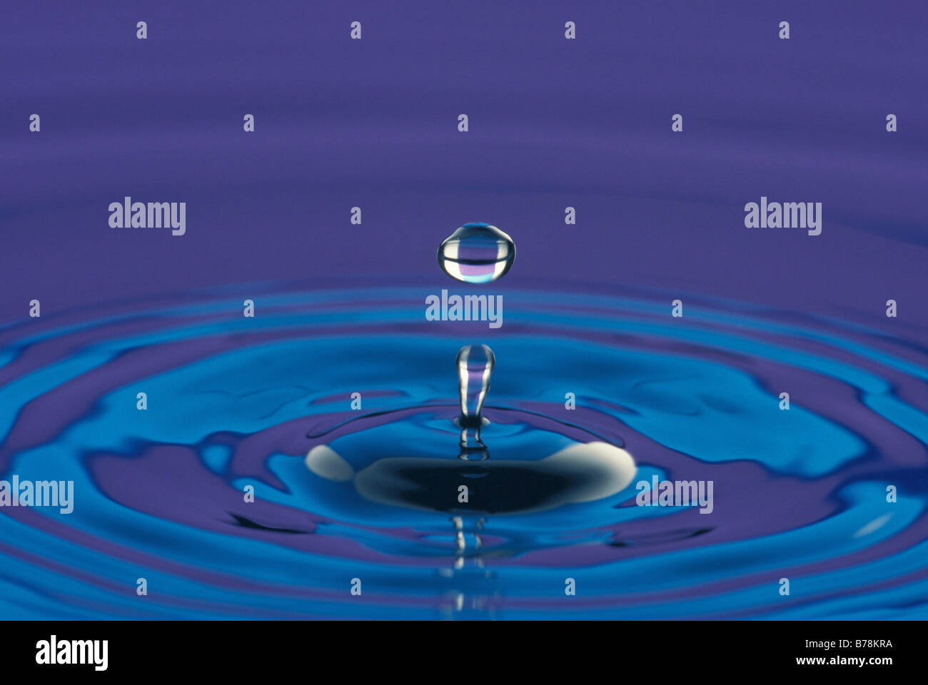 Droplet of water Stock Photo - Alamy