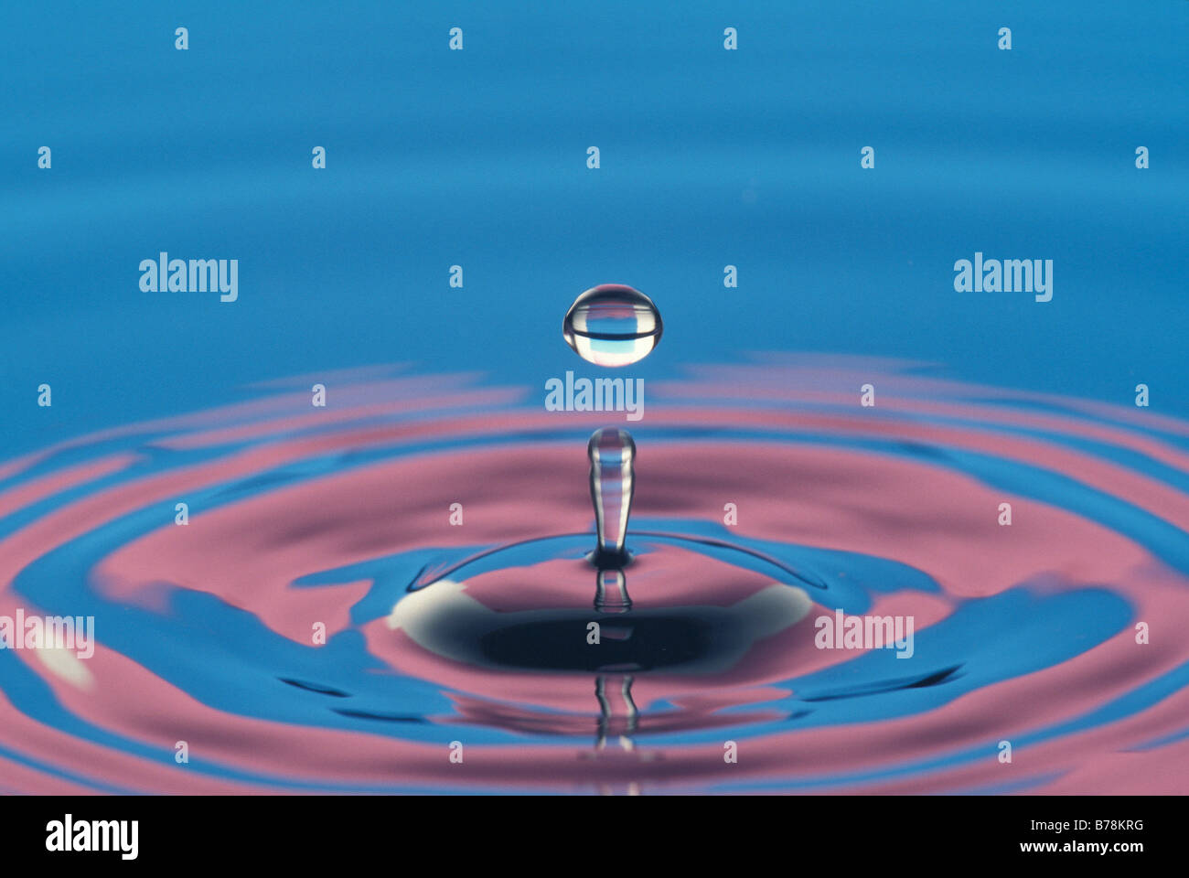 Droplet of water Stock Photo - Alamy