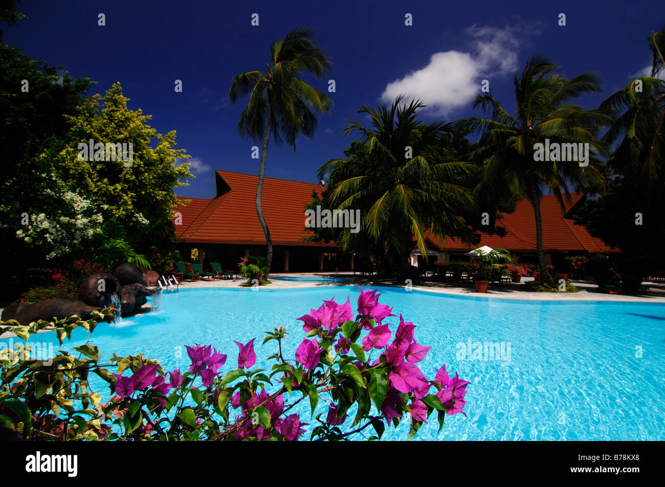 Indian swimming pool hi-res stock photography and images - Alamy