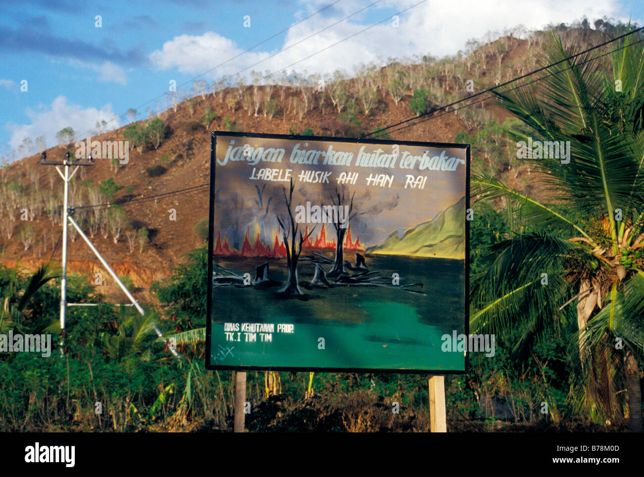 TIMOR-LESTE. DEFORESTATION. Forest fires in the Central Highlands ...