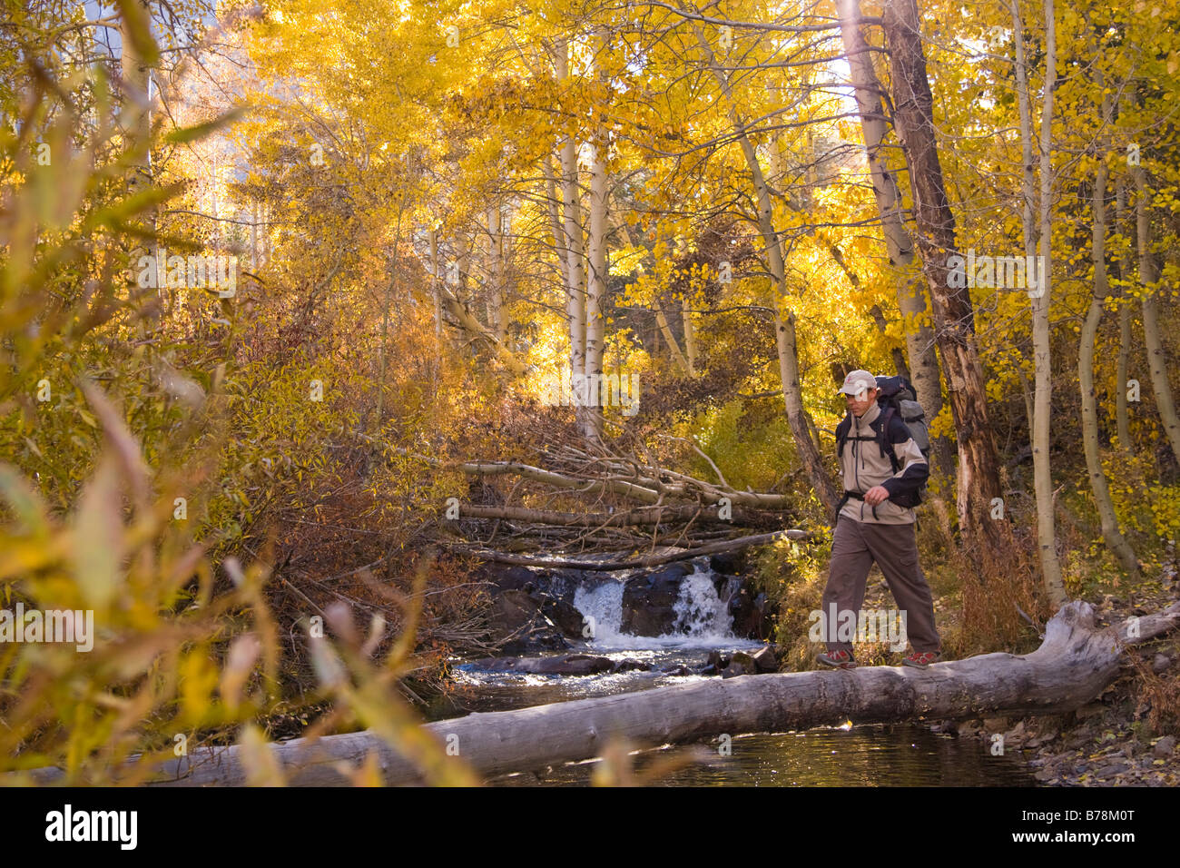 Wood logs crossing hi-res stock photography and images - Alamy