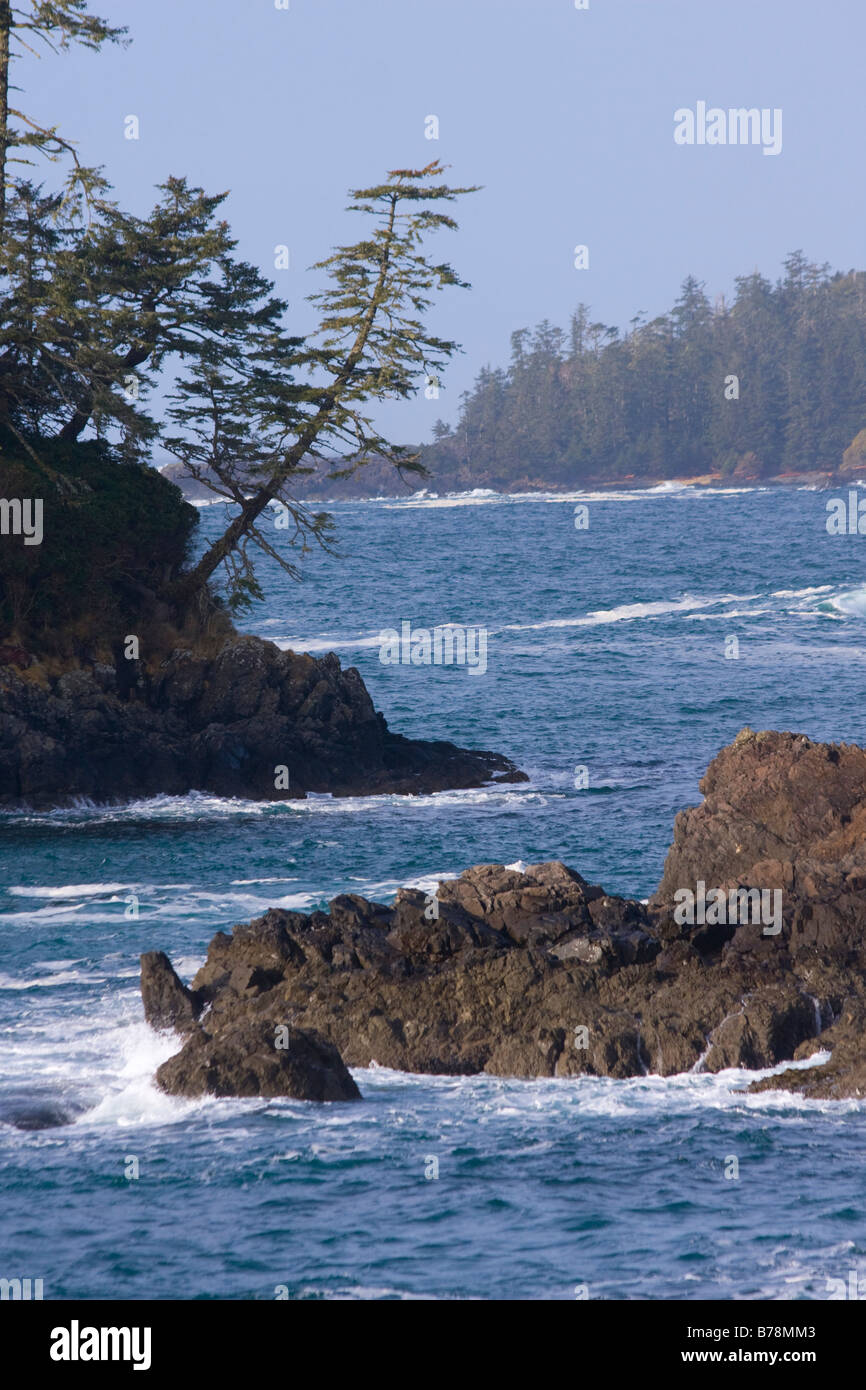 Trees waves and rocks on the rugged west coast of Vancouver Island in ...