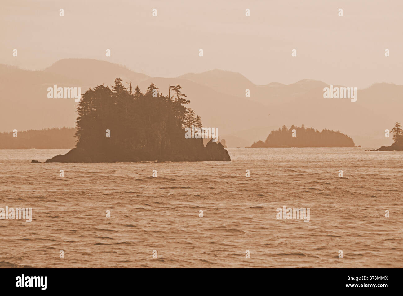 Trees waves and rocks on the rugged west coast of Vancouver Island in ...