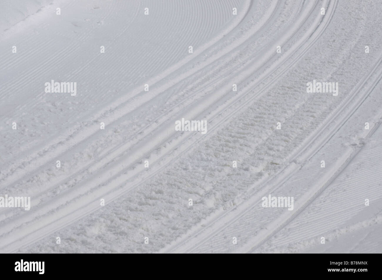 Tracks in the snow Stock Photo - Alamy