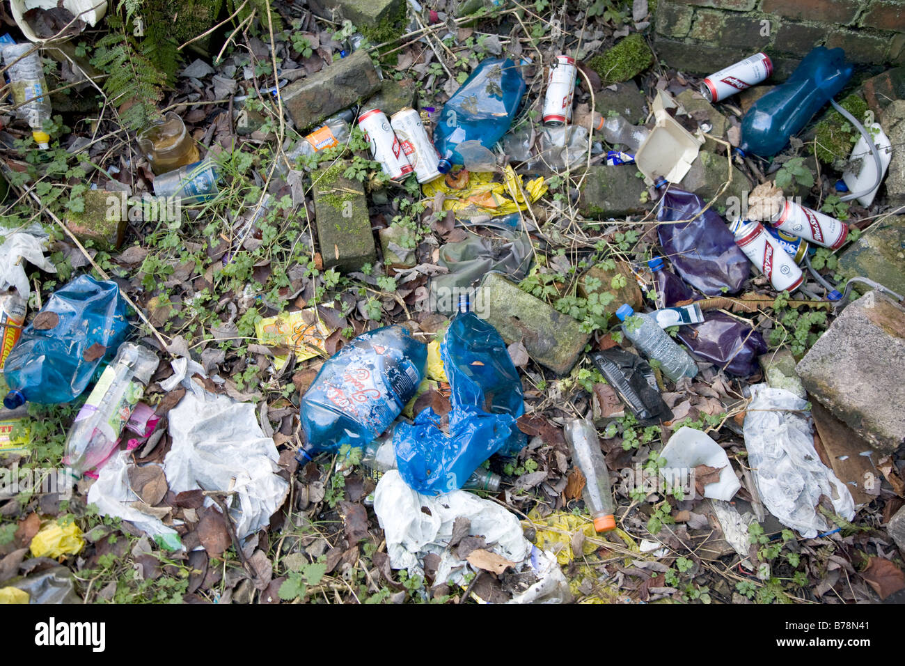 Beer cans rubbish High Resolution Stock Photography and Images - Alamy